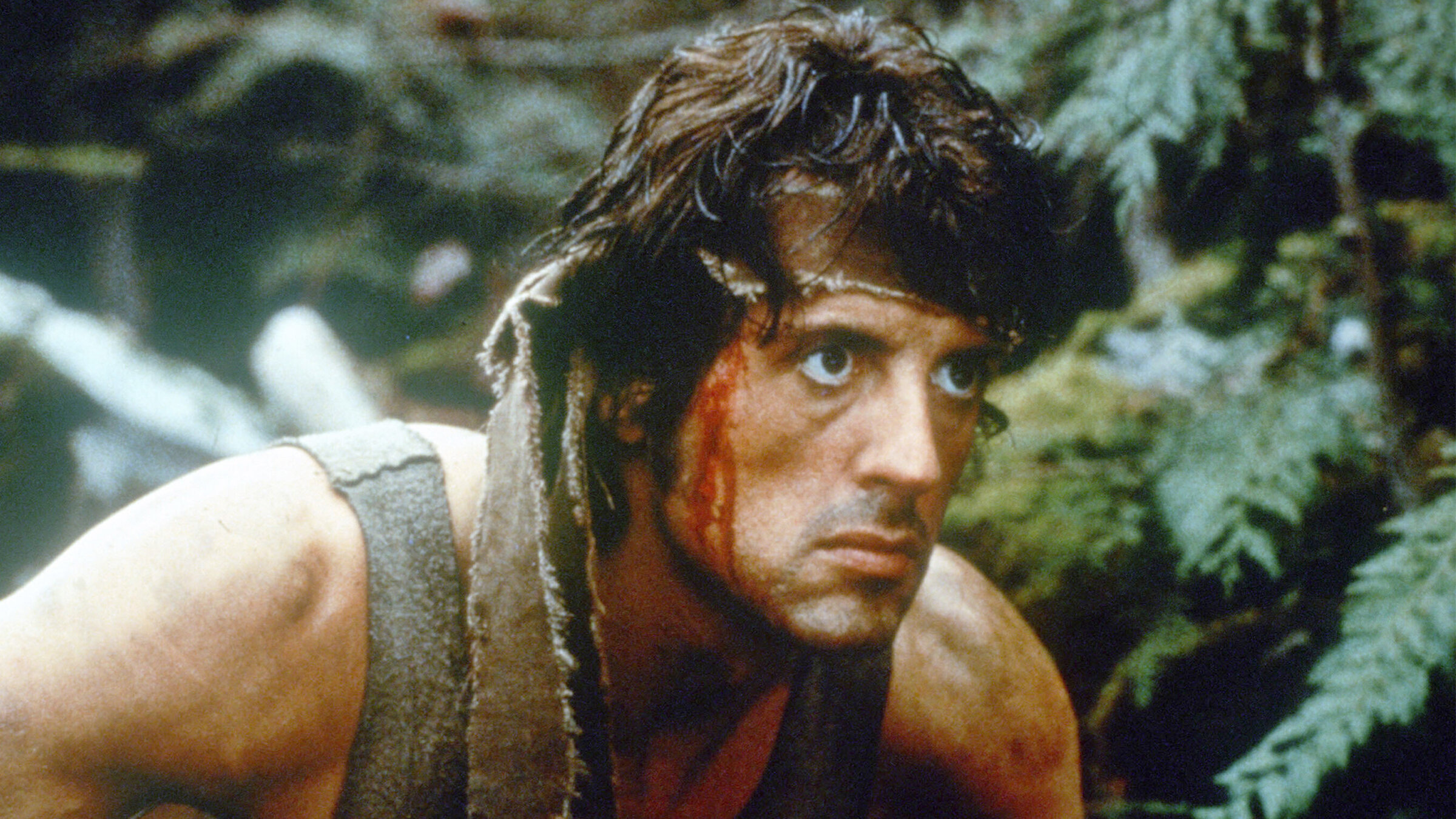 Watch Rambo: First Blood | Netflix